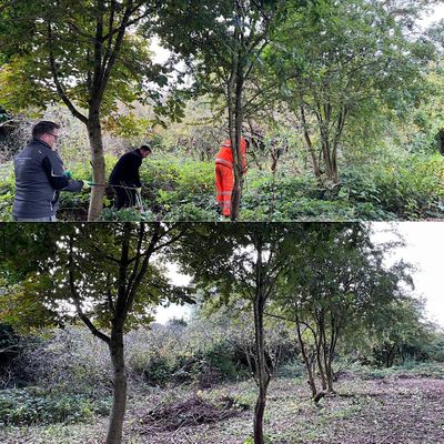 Sherbourne Valley Project Practical Work Party Day, Lake View Park ...