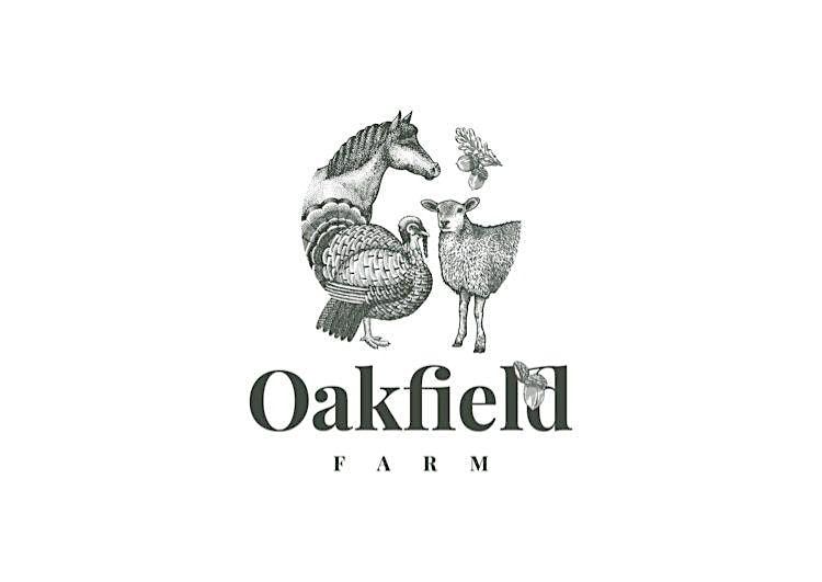 OAKFIELD FARM - Lambing Tour 2024, Oakfield Farm, Errol, 30 March 2024 ...