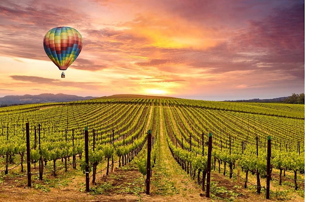 Taste around the world in wine, 12169 Fair Lakes Promenade Dr, Fairfax ...