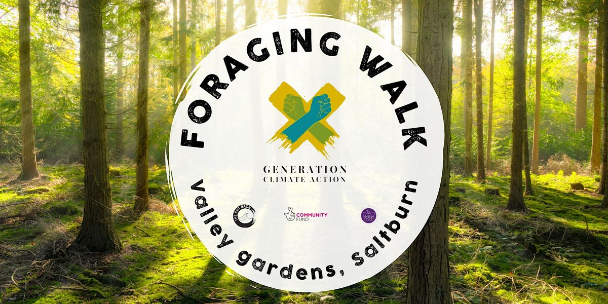 Free foraging walk for young people aged 12 to 18 years old, Saltburn ...