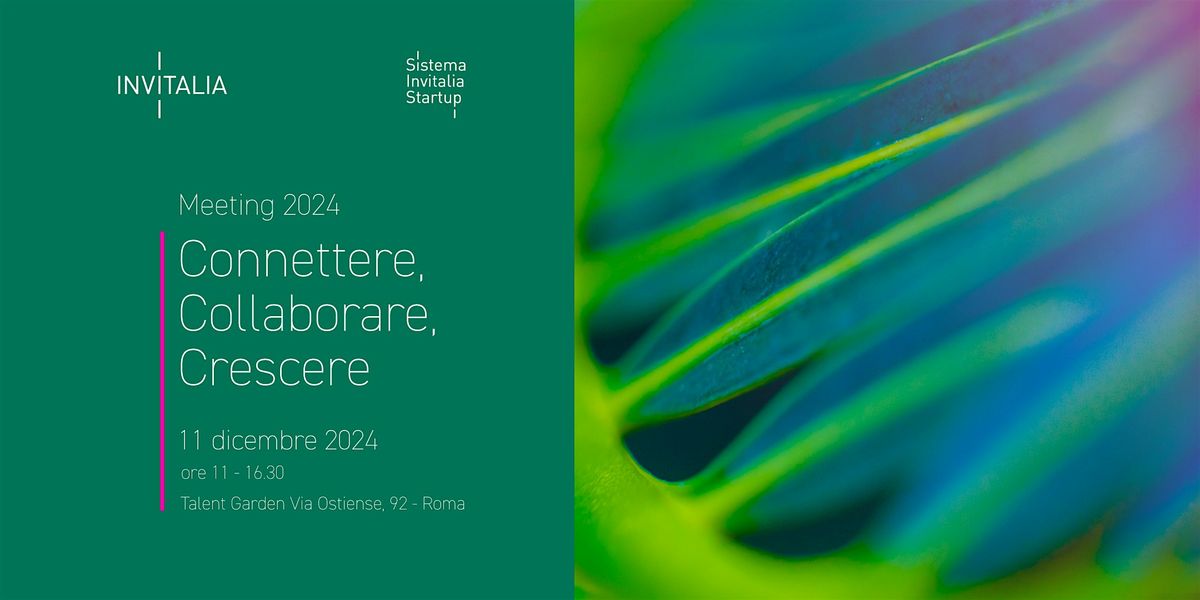 Sistema Invitalia Startup: Connettere, Collaborare, Crescere, Talent ...