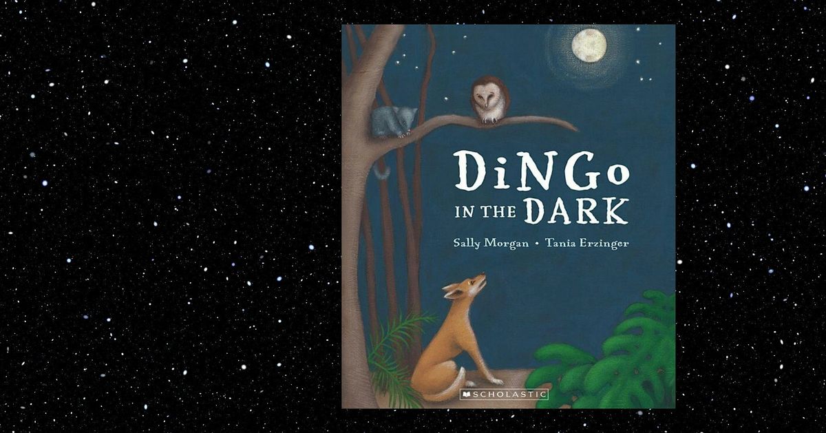 Dingo in the Dark Performance, Multi-Arts Pavilion (MAP mima) Lake ...