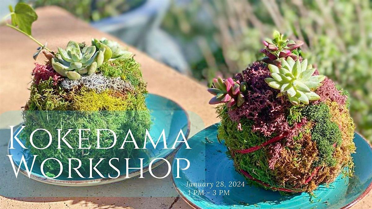 Kokedama ( Moss Ball) workshop with a unique photo opportunity, New ...