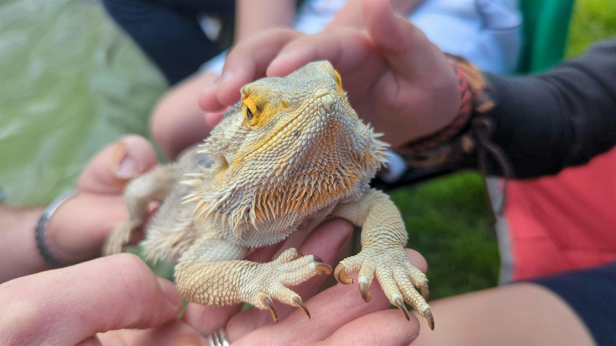 Mini Monsters "Creature and Reptile Encounter" Roadshow, Kinetic ...