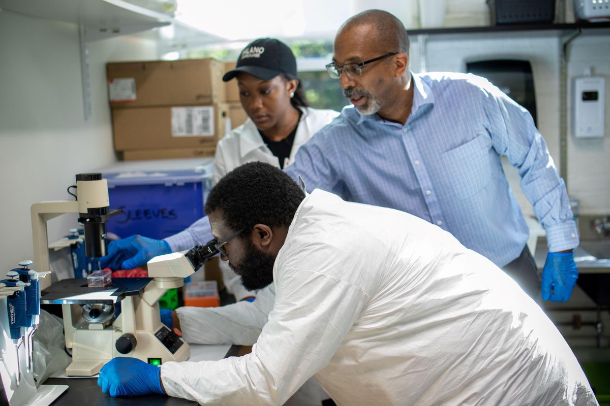 Free Training-Become A Lab Tech in 2023/2024: Get Ready For Your New ...