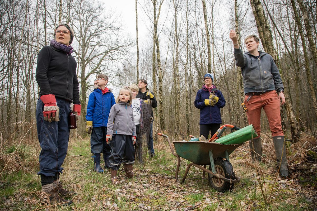Winter Gathering for Group Leaders at Hazel Hill Wood, Hazel Hill Wood ...