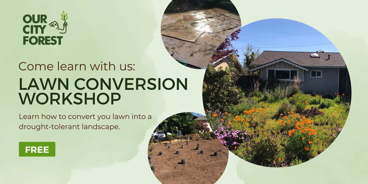 DIY Lawn Conversion Workshop, Our City Forest Urban Forestry Education ...