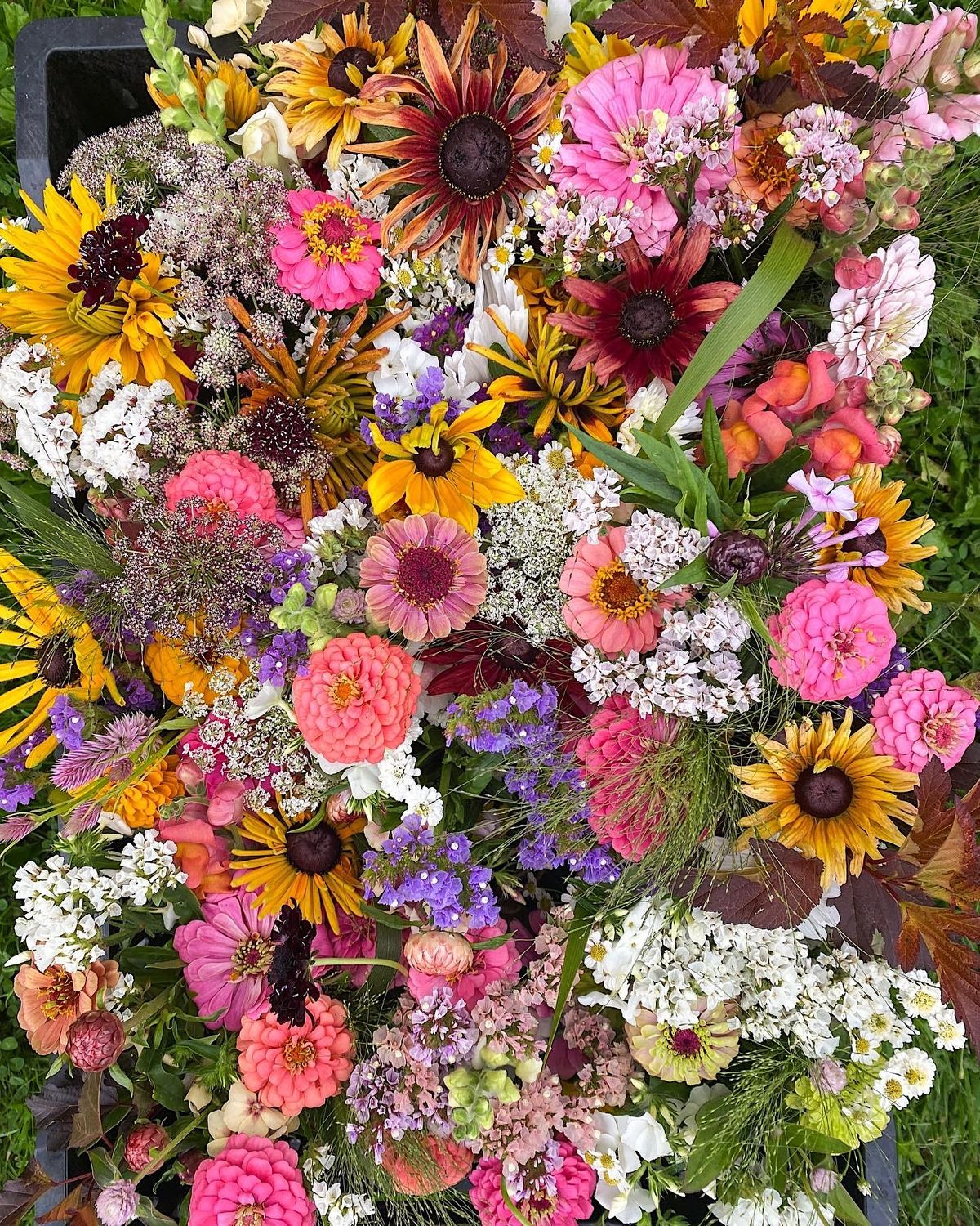 Seed Starting Workshop - Grow your own Cut Flower Garden, Apohaqui ...