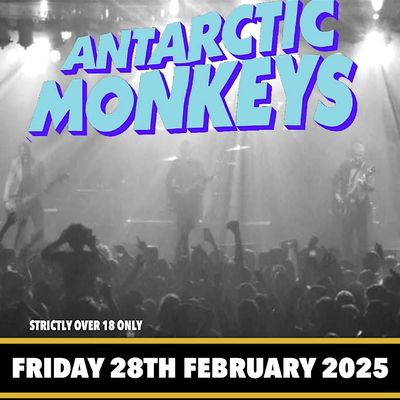 Antarctic Monkeys live at Eleven Stoke, Eleven, Stoke on trent, 28 ...