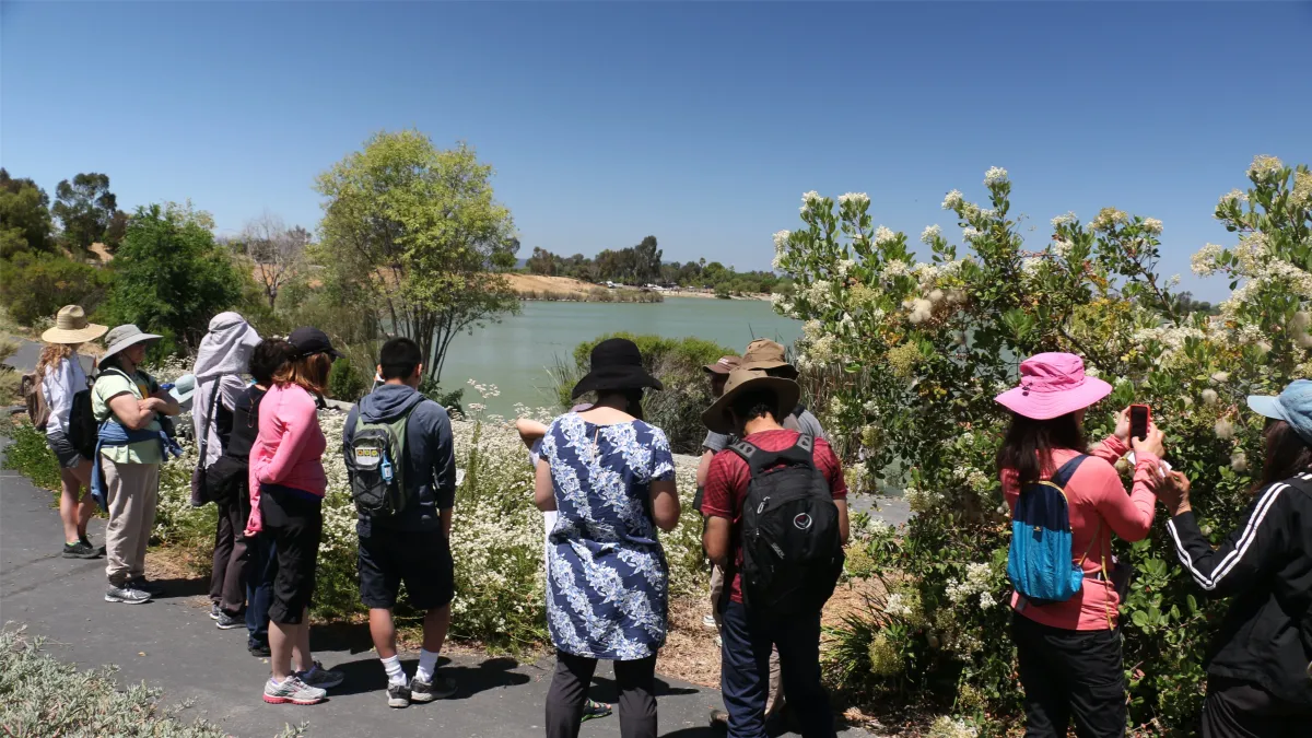 First Day of Fall Bird and Plant ID Walk at Lake Cunningham Park (San ...