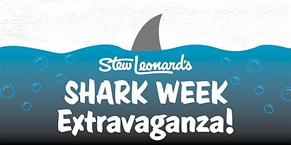 Shark Week Extravaganza Workshop, Stew Leonard's, Danbury, 11 July 2024 ...