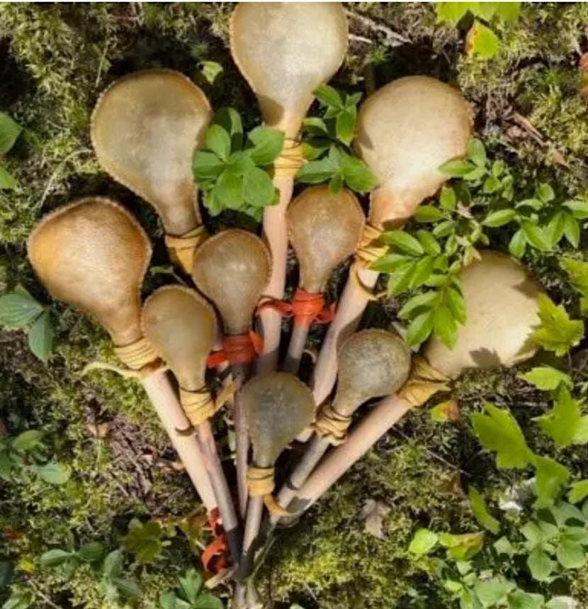 Deer Rawhide Shaker making workshop, Oliver M Smith school, Ohsweken ...