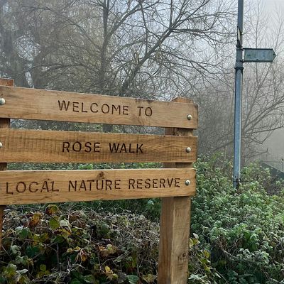 Rose Walk Rewilding Day, Rose Walk Nature Reserve, Surbiton, 12 June ...