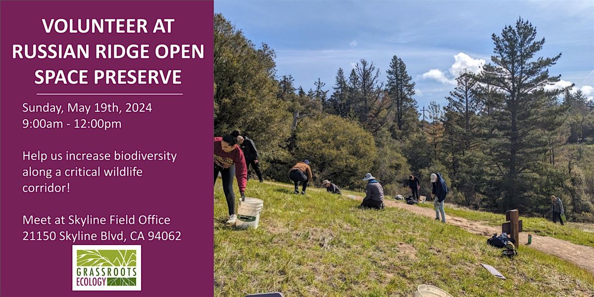 Volunteer Outdoors at Russian Ridge Open Space Preserve, Midpeninsula ...