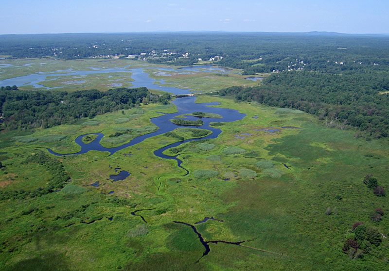 Secrets of the Salt Marsh Walk, Wells Reserve at Laudholm, September 21 ...