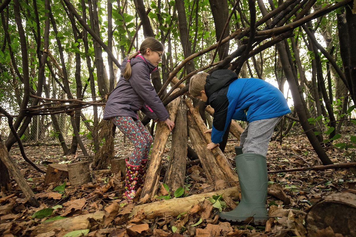 Testwood Lakes Wildlife Watch- Shelter building, Testwood Lakes Nature ...