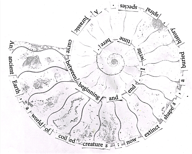 Fossil poetry workshop, Breckon Hill Primary School, Middlesbrough, 24 ...
