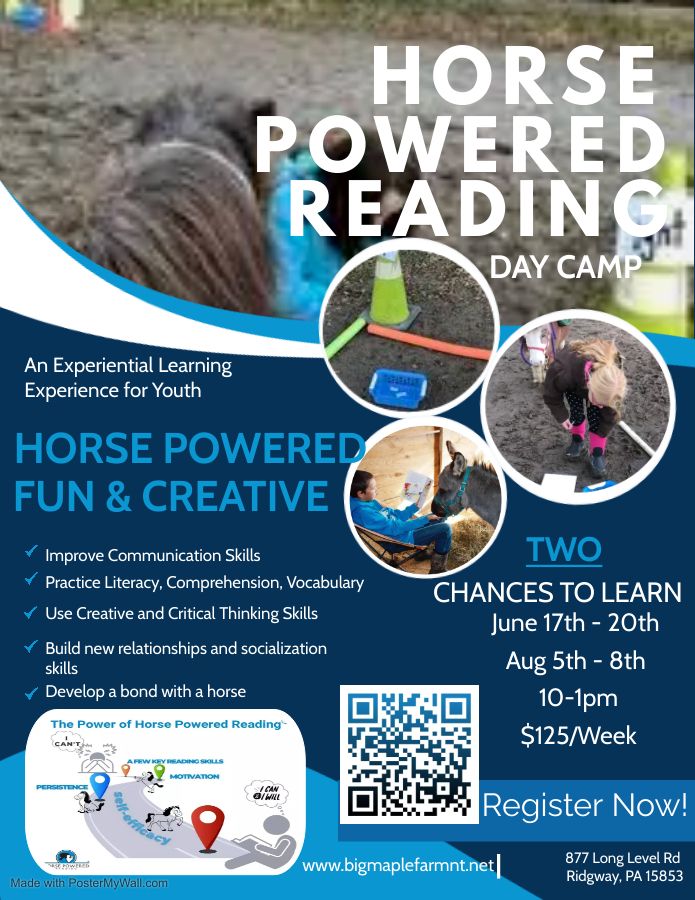 Horse Powered Reading Day Camp , 877 Long Level Rd, Ridgway, PA, United ...