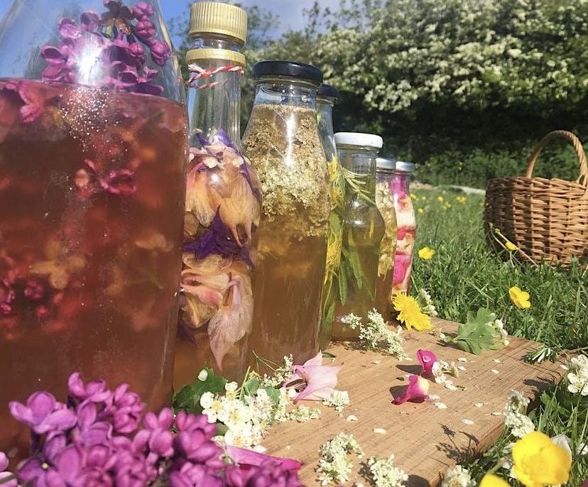 Wild plant Forage and Preserve : syrup and cake, The Atma Lounge ...