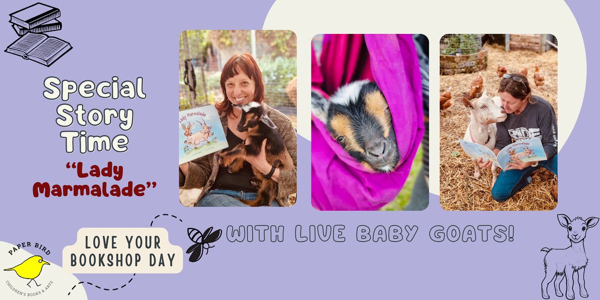 Lady Marmalade - A Special Story Time with Real Baby Goats, Paper Bird ...