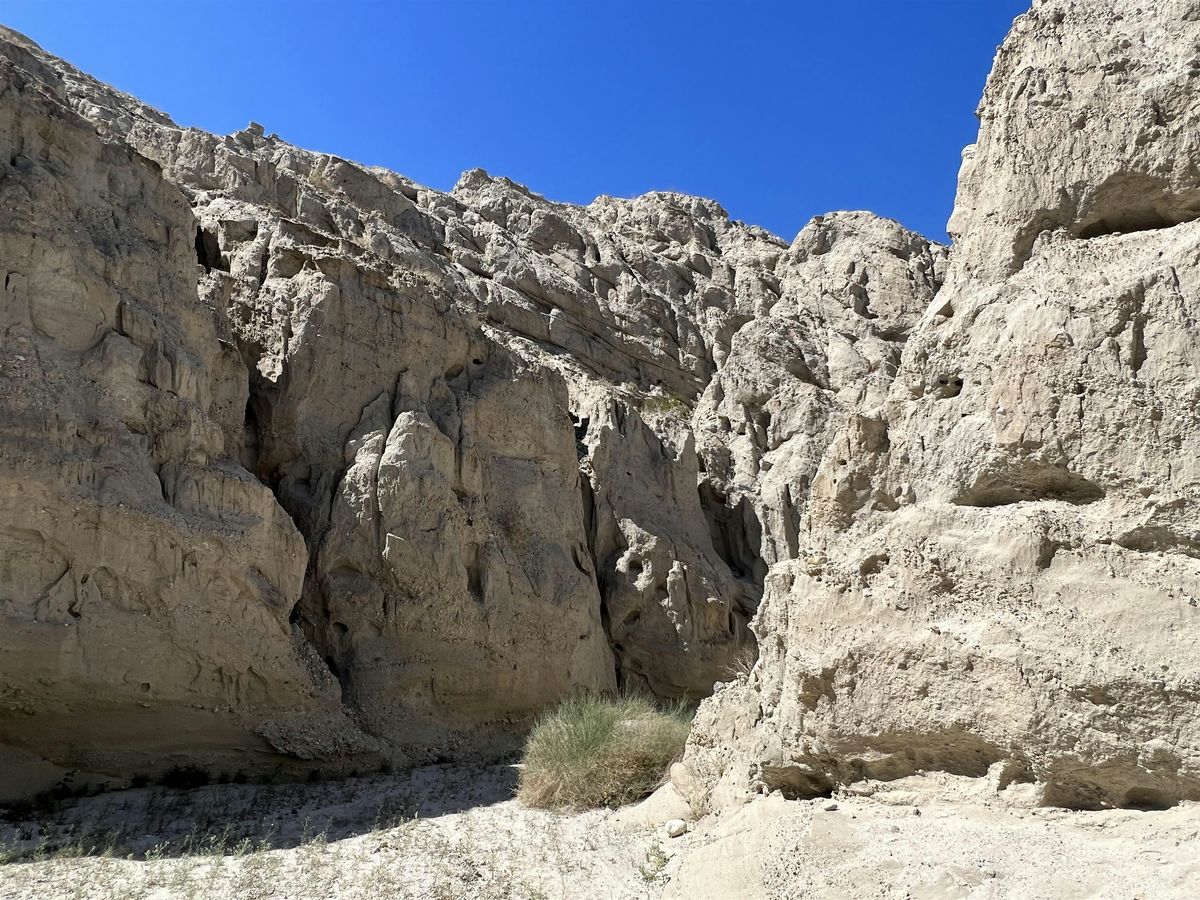 Skeleton Canyon Hike, Box Canyon and Painted Canyon Roads, Mecca, 25 ...