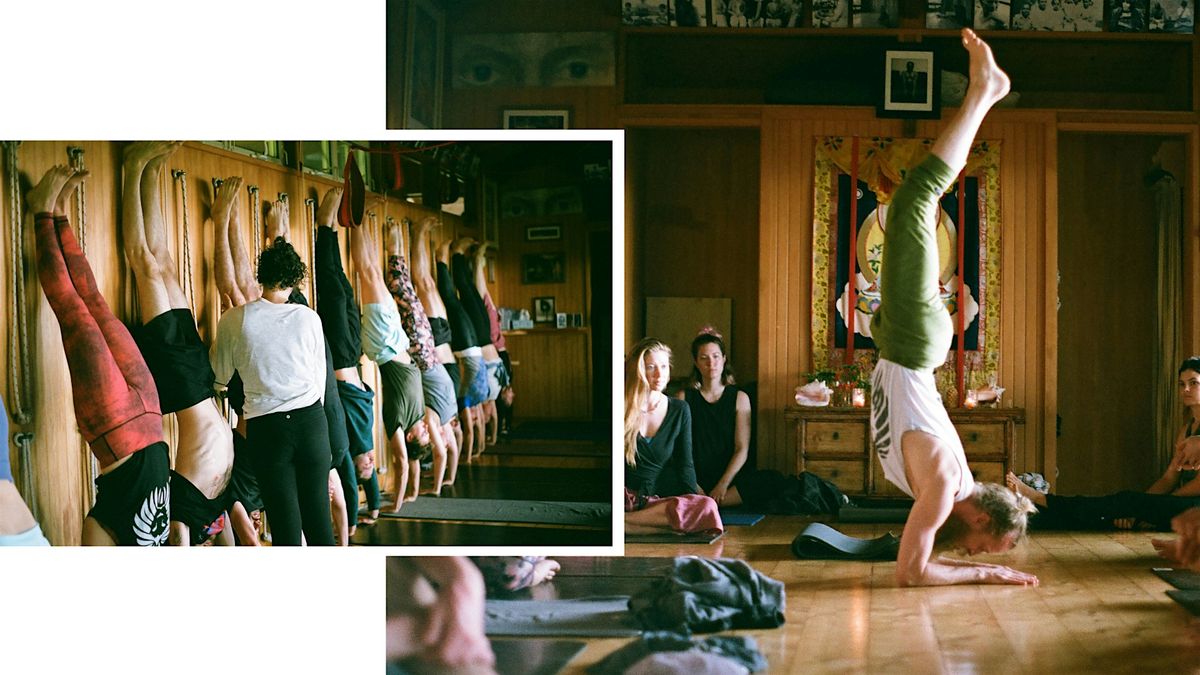 One Yoga Retreat Maui 2025, Nicki Doane's Maya Yoga Studio, Haiku, 17 ...