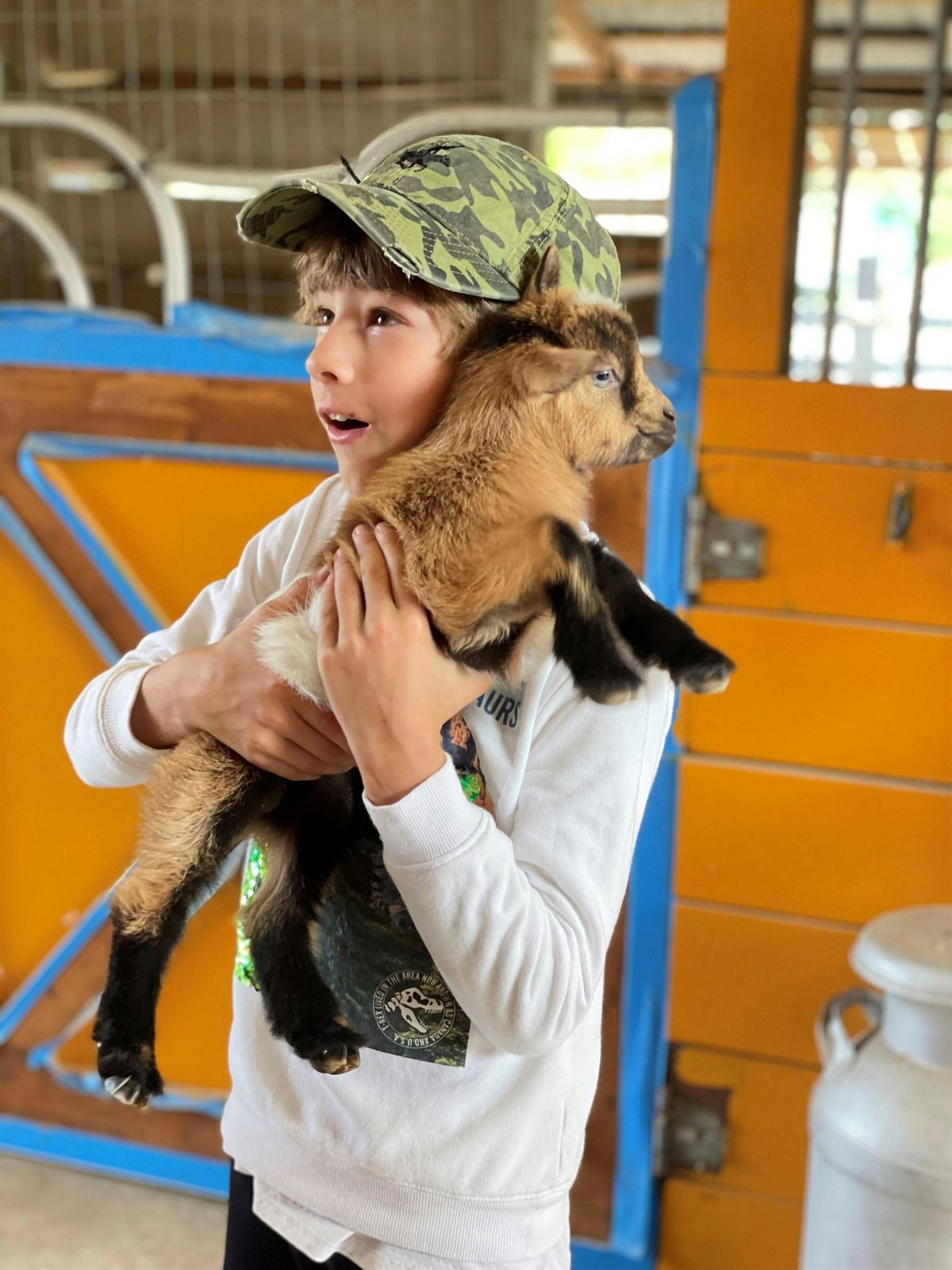 Baby Goats Snuggle, Piglets Social, Farm Animals Feeding, Ranch Tours ...