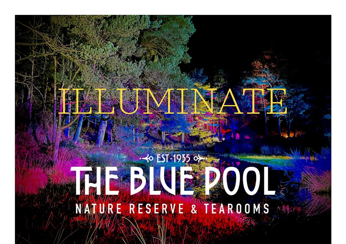 ILLUMINATE at The Blue Pool 2023 January - March, The Blue Pool ...