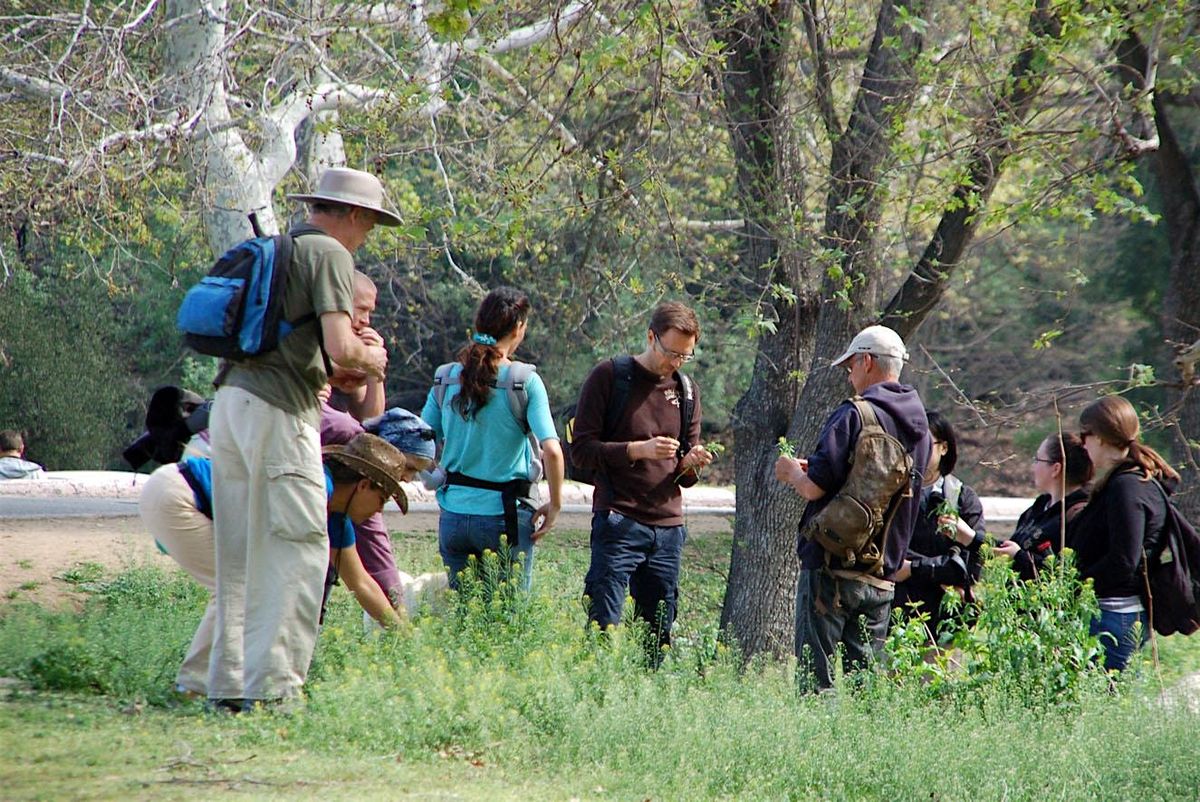 Eco-Friendly Foraging - Plants Walk / Wild Food Tasting & Drinks ...