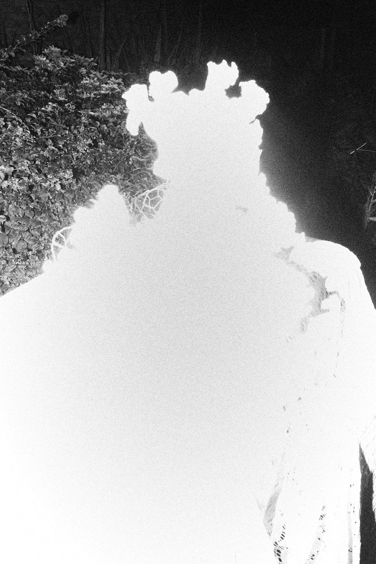 WILTON WAY LITERARY SALON - MAGIC, Wilton Way Deli & Wines, Wilton Way ...