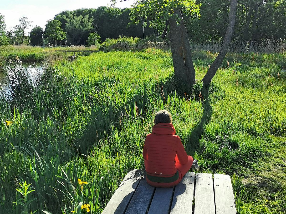 Bosbaden / Shinrin-Yoku / Forest Bathing - Amsterdamse Bos, 7RW9+X6 ...