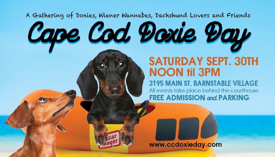 Cape Cod Doxie Day, 3195 Main St, Barnstable, MA 02630-1105, United ...
