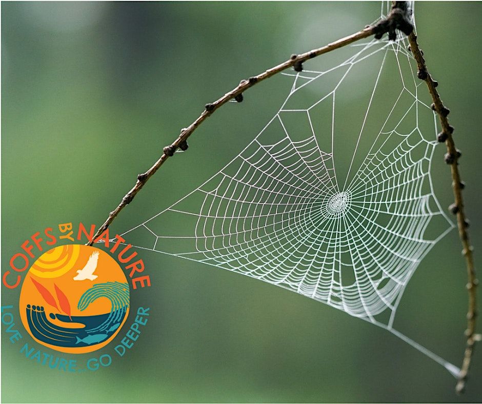 Coffs By Nature - Weaving walk, Garby Nature Reserve, Arrawarra ...