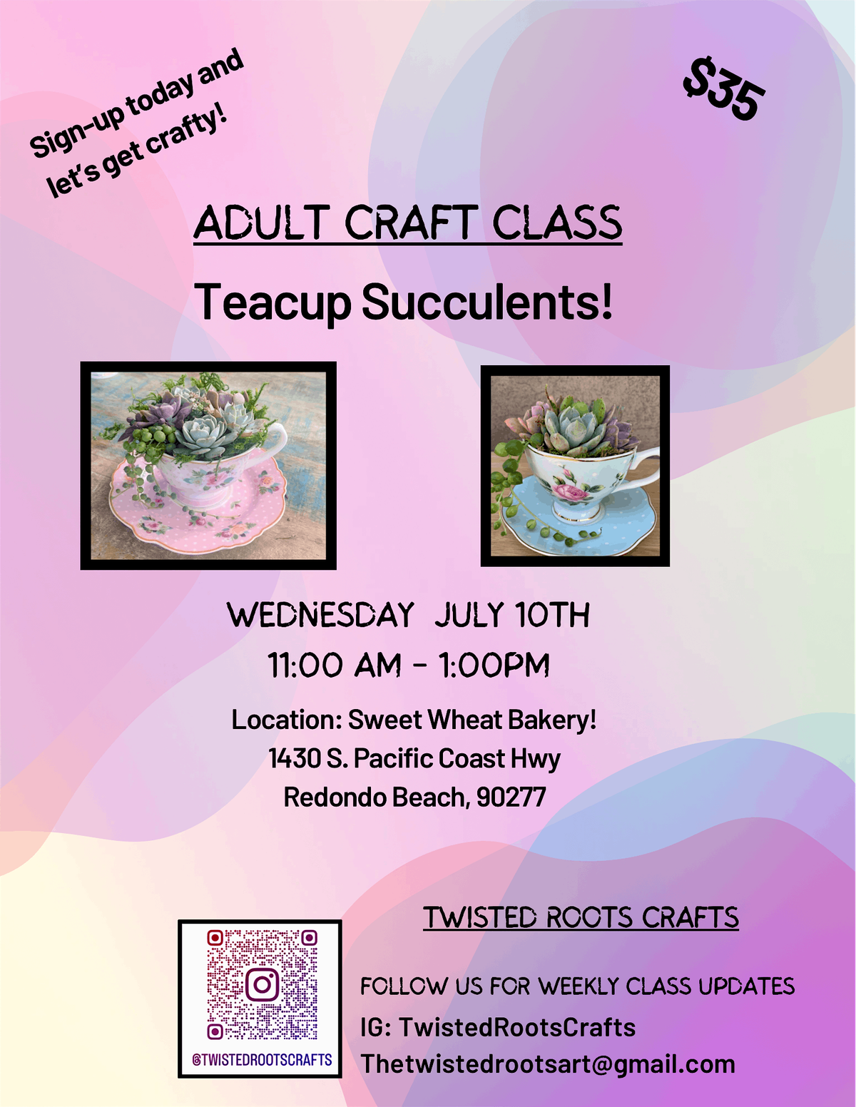 Adult Craft Class - Teacup Succulents!, 1430 S Pacific Coast Hwy ...