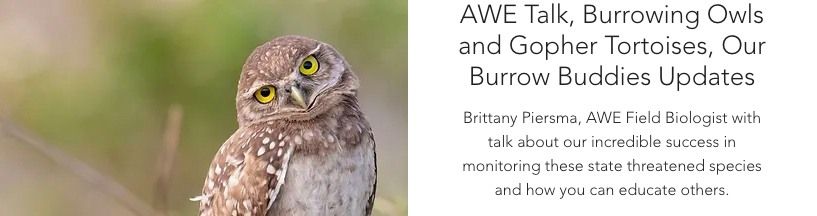 AWE Talk "Burrowing Owls and Gopher Tortoises, Our Burrow Buddies ...