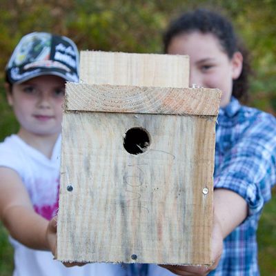 Hanningfield Bird Box Building, Hanningfield Reservoir Nature Discovery ...