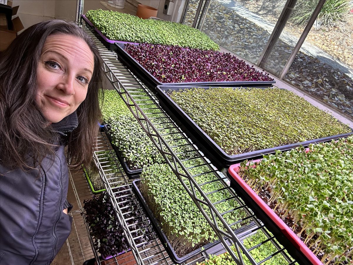 Microgreens Growing Workshop (free growing kit included), Woodland ...