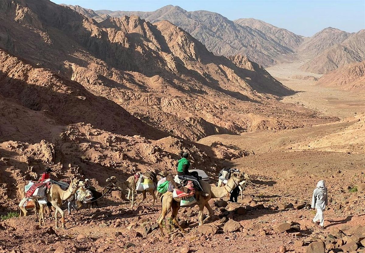 SES Explorer Series: Rosie Stancer and Pom Oliver - Sinai Peninsula ...