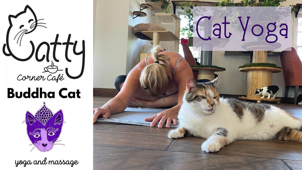 Cat Yoga at Catty Corner Cafe, Catty Corner Cafe, Leesburg, 4 March ...