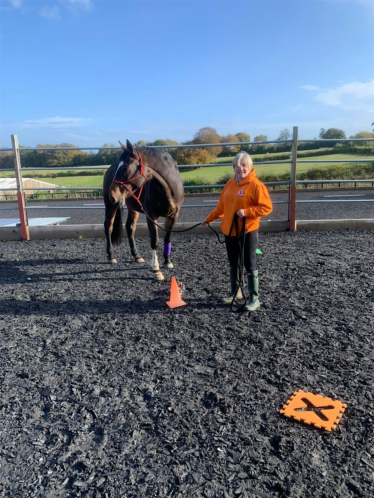 Horsemanship Clinic - Empowering Your Horse & Nurturing Wellbeing, The ...