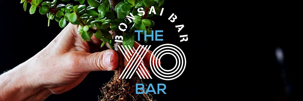 Beginner Workshop with Bonsai Bar at The XO Bar, The XO Bar, Providence ...