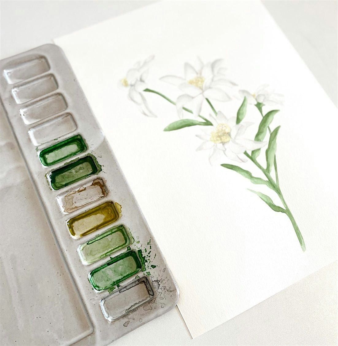 Botanical Watercolour Workshop with Kate Hall, Breezy Knees Gardens ...
