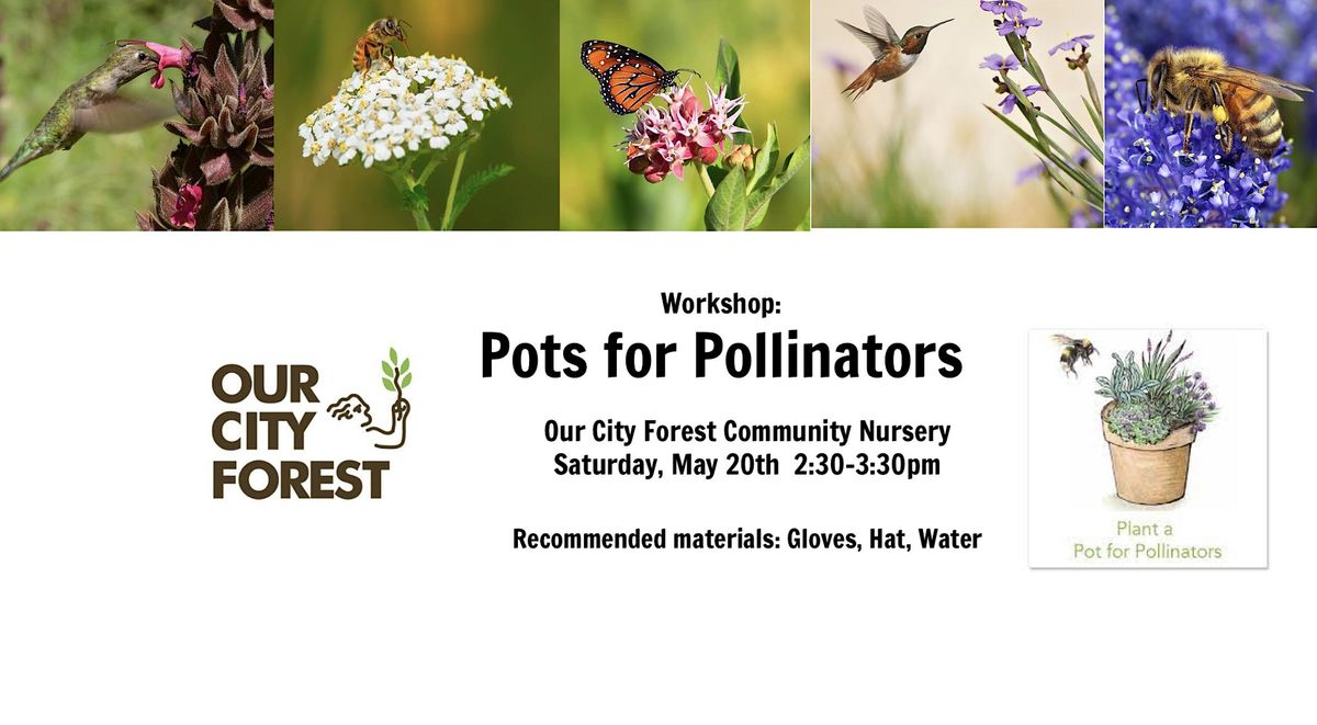 Workshop: Pots for Pollinators, Our City Forest Nursery and Training ...