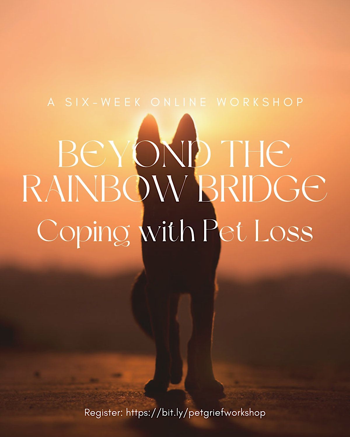 Beyond the Rainbow Bridge: Coping with Pet Loss - 6-Week Online ...