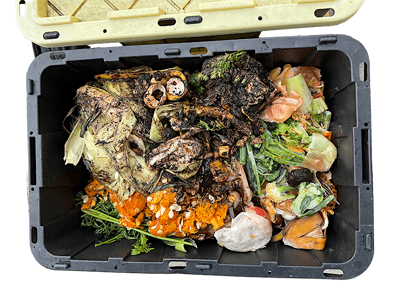 Bronx Food Scraps Drop-Off (Pelham Parkway), Brady Playground, The ...