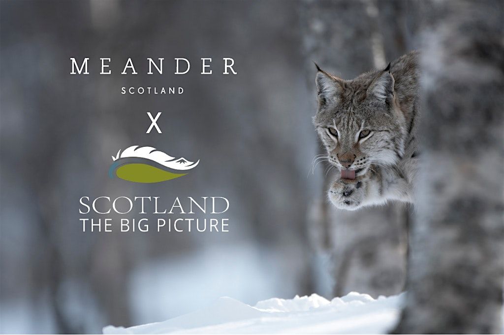 Launch Event & Film Screening: Meander X SCOTLAND: The Big Picture x ...