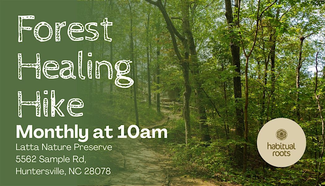 Forest Healing Hike, Latta Nature Preserve, Huntersville, 24 March 2024 ...