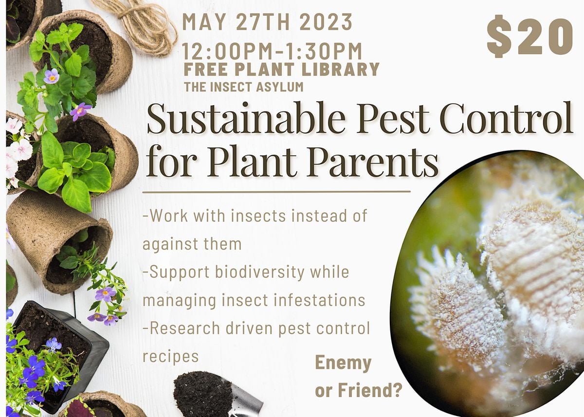Sustainable Pest Control for Plant Parents, The Insect Asylum, chicago ...