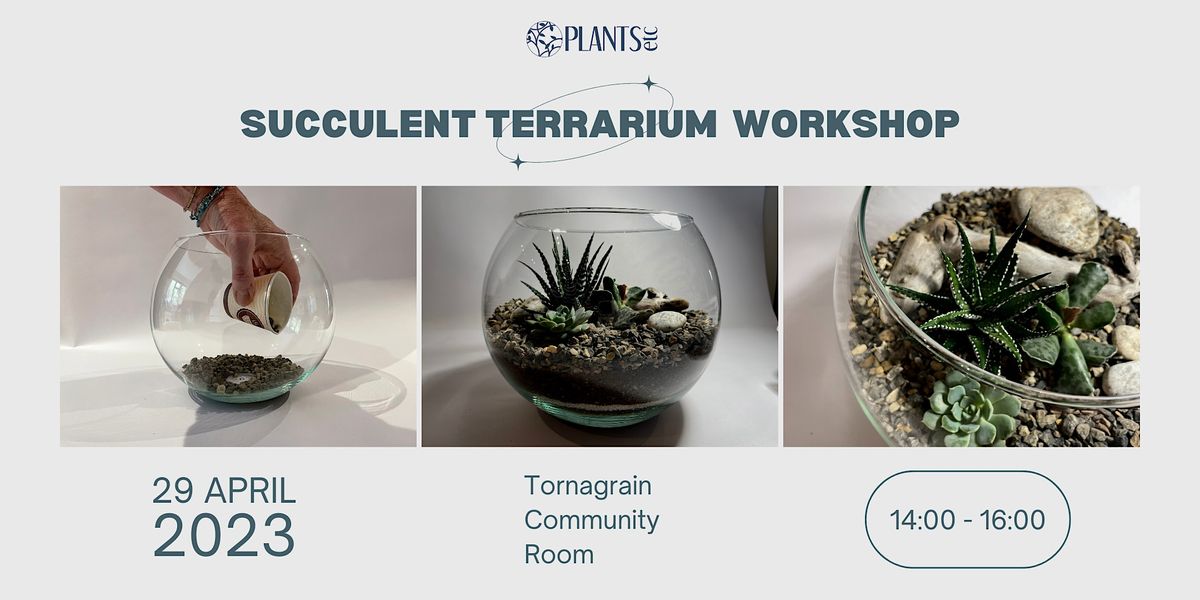 Plants Etc. Succulent Terrarium Workshop, Tornagrain Community Room ...