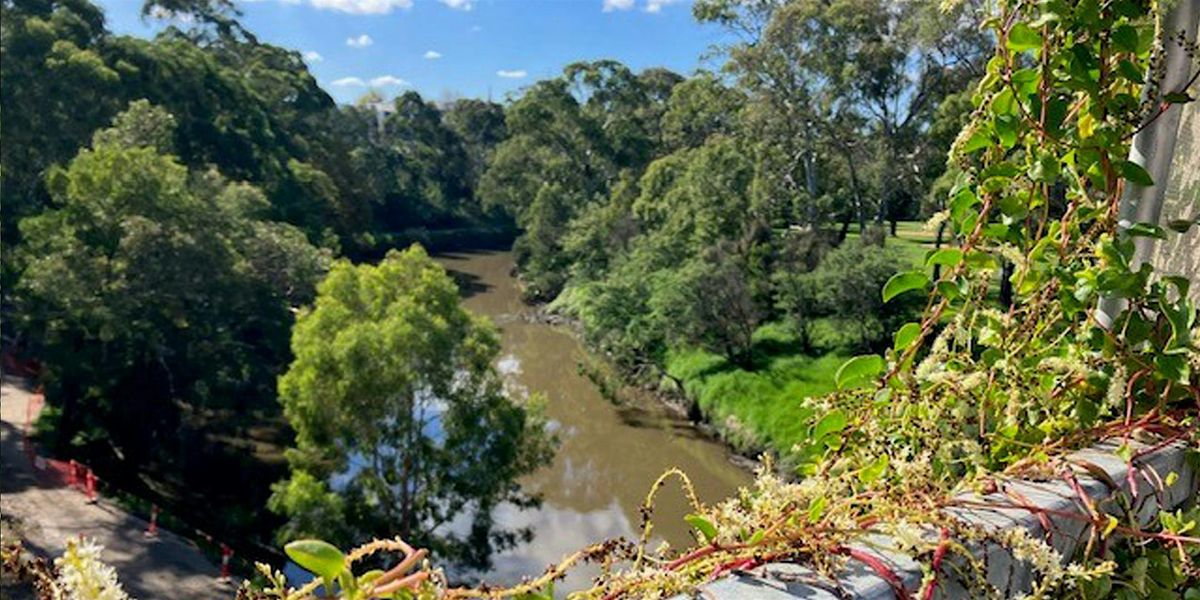 Nature Walk along the Birrarung, Abbotsford Convent (Clarke Street Gate ...